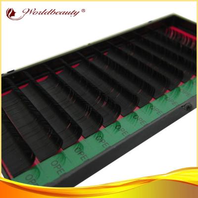 China Natural Look J curl Mink Eyelashes Extensions 11mm For Lady for sale