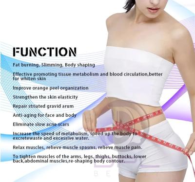 Cina Portatile 6 In 1 80K Cavitazione ad ultrasuoni RF macchina a vuoto perdita di peso Cellulite riduzione del grasso Dissolvente dispositivo in vendita