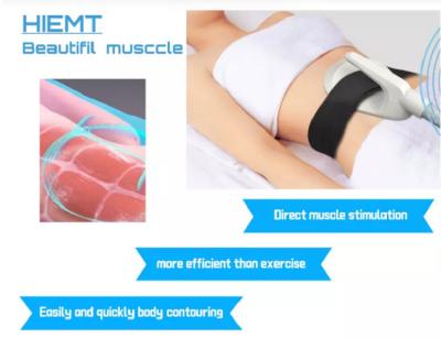 Cina EMT-8 Fat Removal EMS Infrared Ultrasonic Slimming Machine Contouring del corpo certificato CE in vendita