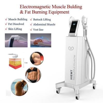 Cina EMT-8 Fat Removal EMS Infrared Ultrasonic Slimming Machine Contouring del corpo certificato CE in vendita