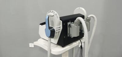 China DM-52 Máquina de escultura de escritorio EMS para la eliminación de grasa Estimulador muscular eléctrico en venta