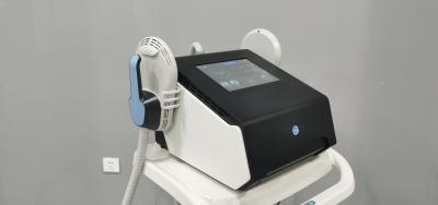 China DM-52 Máquina de escultura de escritorio EMS para la eliminación de grasa Estimulador muscular eléctrico en venta