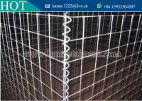China Galvanized Welded Gabion Wire Mesh for sale