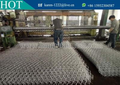 China 8x10 Hot Dipped Galvanized Gabion box / Stone Gabion Basket  Wire Mesh for sale