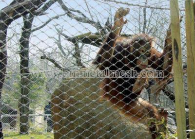 China Customized Stainless Steel Ferrule Animal Enclosure Mesh For Monkey Fence for sale