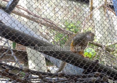 China Baking Finish Architectural Metal Mesh Phantom Mesh For Zoological Decoration for sale