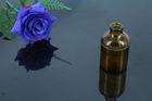 China Transparent Cylinder Shape 15 / 30 / 50ml PP Airless Cosmetic Bottle for sale