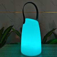 China Plastic Portable LED Lamp Wireless Remote Control For Garden for sale
