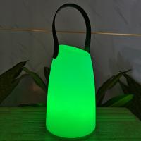 China Plastic Portable LED Lamp Wireless Remote Control For Garden for sale