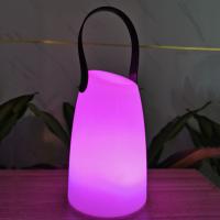 China Plastic Portable LED Lamp Wireless Remote Control For Garden for sale