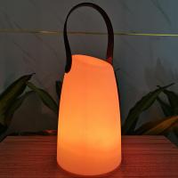 China Plastic Portable LED Lamp Wireless Remote Control For Garden for sale