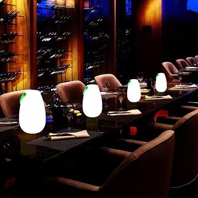 Cina 2700K CCT lampada portatile LED in plastica ricaricabile per ristorante in vendita