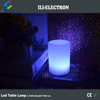 Cina Multi color Christmas led night light for home decor in vendita