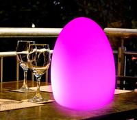 China egg shape plastic led table lamp for sale