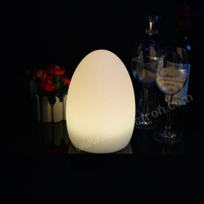 Cina plastic egg lamp /illuminated table lamp /led lighted egg lamp in vendita
