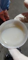 China Nicosulfuron 40 OD 75% WDG for sale
