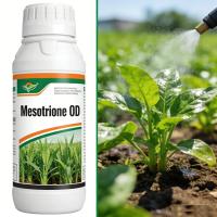 China Mesotrione ++ OD for sale