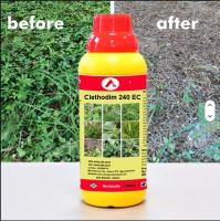 China rm43 weed preventer total vegetation control Clethodim 24% EC 95% Tech herbicid e for sale