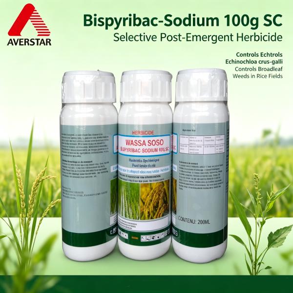 Quality Bispyribac-sodium 100g/L SC Rice Herbicide for Post-Emergence Broad-Spectrum Control with Systemic Action for sale