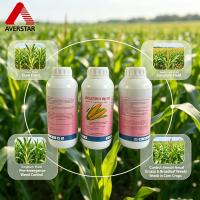 Quality Nicosulfuron 40g/L OD Selective Maize Herbicide Sulfonylurea Weed Control for sale