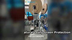 atural Pest Control for Leafy Greens