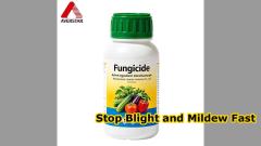 Stop Late Blight and Downy Mildew Fast