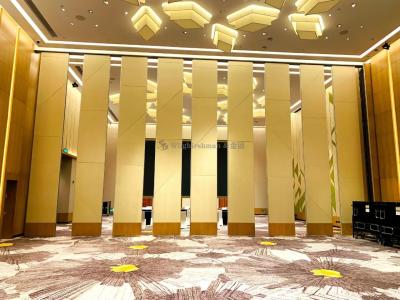 China 45dB Soundproof Level Gala Banquet Hall Partition Wall Customization for sale