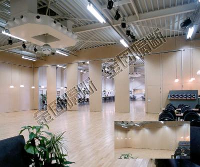 China Modern Office Divider Walls Versatile With Track Roller Seal Strip for sale