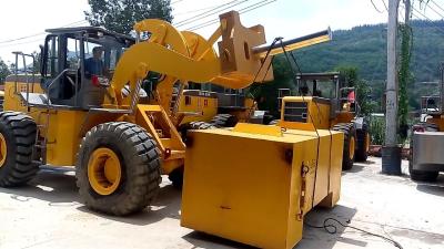 China Coil Fork Loader with RAM /Fork in pH and Africa for sale