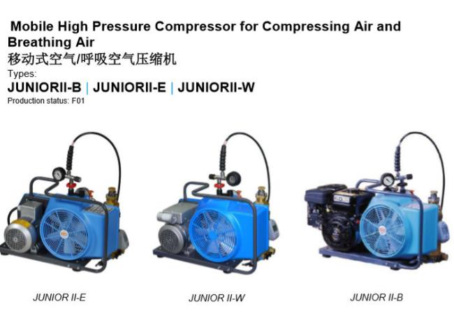 300 Bar Air Compressor to Refill Scba Fire Fighting