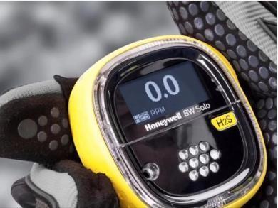 China Customized Bw Solo Handheld Combustible Portable Single Gas Detector Approx. 120g for sale