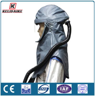 China Factory Price Papr Powered Air Purifying Respirator with Hood for sale