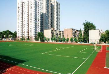 China Football field artificial lawn for sale