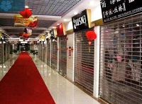 China 12mm Bar Polycarbonate Clear Roller Shutters For Store for sale