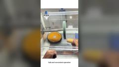 Buff polishing machine