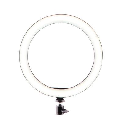 Cina Luce di alluminio del materiale di riempimento di bellezza di 1850mm con il supporto del treppiede in vendita