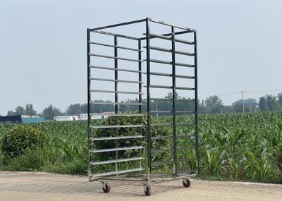 China Heavy Duty 304 Stainless Steel Rack Trolley With 300kg Load Capacity for sale