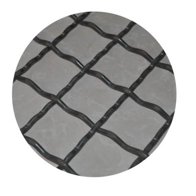 중국 채광을 위한 높은 탄소 강철 광산 스크린 스테인리스 철망사 판매용