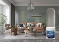 China Eggshell Texture Coating  OEM Ready  Premium Texture in a Bucket decorative wall for sale
