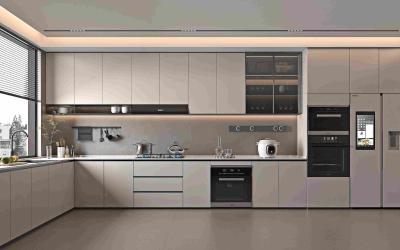 Cina Doppia finitura Eco-friendly Custom Cucina Armadi Collezioni ENF Grade in vendita