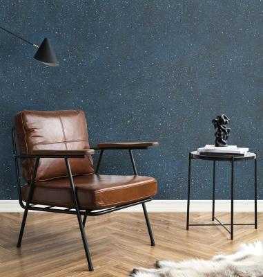 China Glitter wall paint Starry sky Shimmer Textureed finish LNYA003 for walls and ceiling for sale