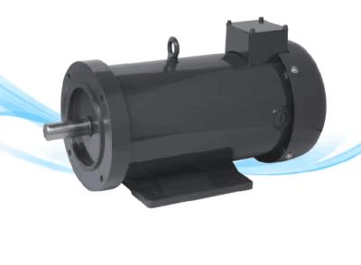 Cina 1/4 HP 1/2HP 1HP Alto rendimento 12v 24v 90v 180v Motore PMDC con spazzola per barca in vendita