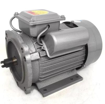 Cina IE3 0,55~315KW IP55 Motore elettrico 100% di rame 220v Ac monofase motore di scatola di ferro motore di induzione B5 in vendita