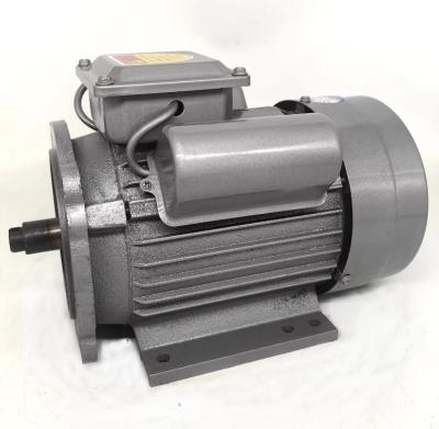 Cina IE3 0,55~315KW IP55 Motore elettrico 100% di rame 220v Ac monofase motore di scatola di ferro motore di induzione B5 in vendita