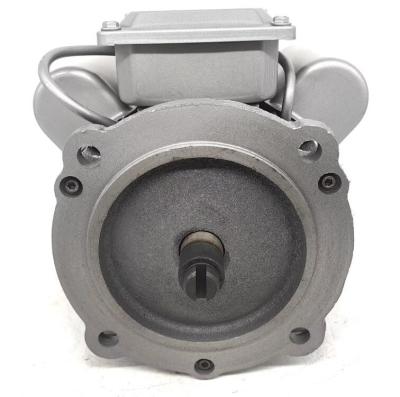 Cina IE3 0,55~315KW IP55 Motore elettrico 100% di rame 220v Ac monofase motore di scatola di ferro motore di induzione B5 in vendita