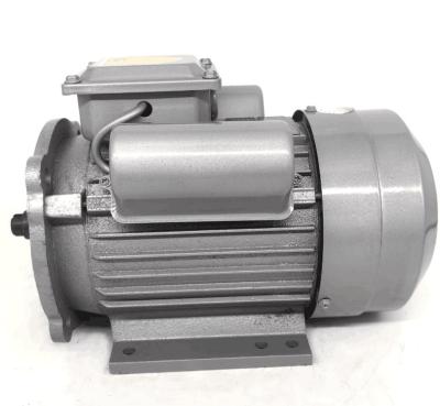 Cina IE3 0,55~315KW IP55 Motore elettrico 100% di rame 220v Ac monofase motore di scatola di ferro motore di induzione B5 in vendita