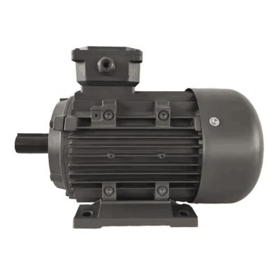 Cina YE3 Efficienza Premium 1.5KW 2HP 3HP 4HP 5HP 7.5HP 10HP 50/60Hz 220/380/460V YE3-90L-4 Motore di induzione AC asincrono in vendita