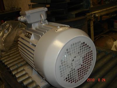 Cina YE3-132M-4 Efficienza motore elettrico a tre fasi 220/380/460V 355mm Altezza dell'albero 1120kg in vendita