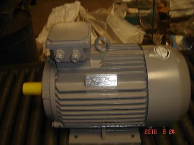 Cina YE3-132M-4 Efficienza motore elettrico a tre fasi 220/380/460V 355mm Altezza dell'albero 1120kg in vendita