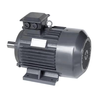 Cina 355mm Altezza dell'albero Motore elettrico 1485 Rpm 1.64A 1120kg Velocità Motore di induzione AC in vendita